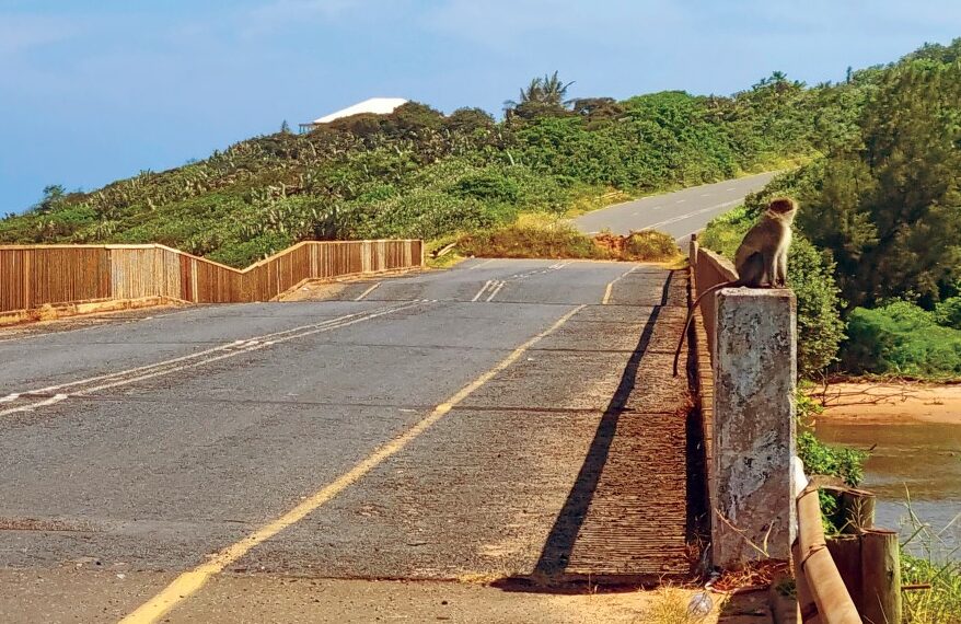 Still No Construction Activity At M4 Bridge North Coast Courier
